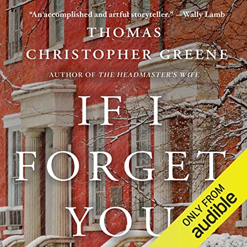 Amazon.com: Before You Go: A Novel (Audible Audio Edition): Tommy ...