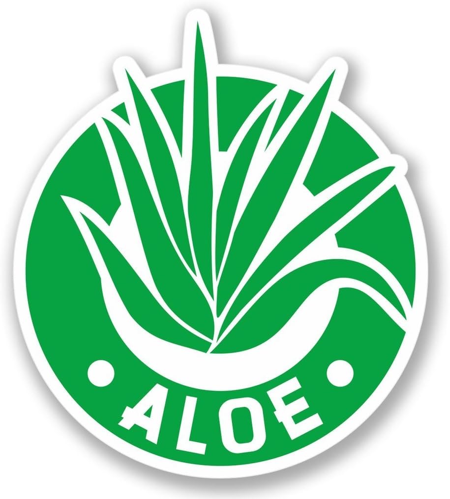 2 x 15cm/150mm Aloe Vera WINDOW CLING STICKER Car Van Campervan Glass ...