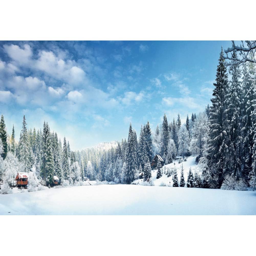 Renaiss 8x6ft Winter Scene Backdrop Snow Wonderland Pine Tree Forest ...