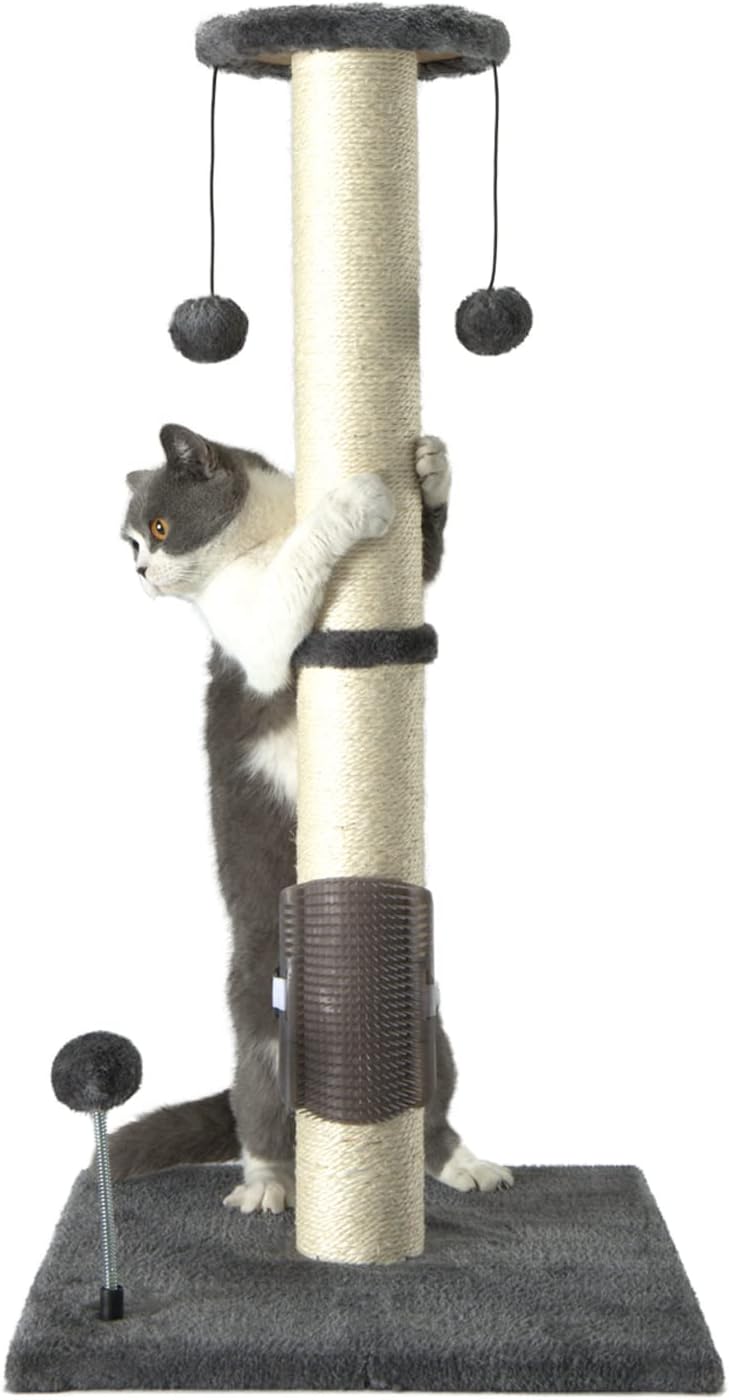 Amazon.com : Paroto Cat Scratching Post, Sisal Scratching Posts for ...