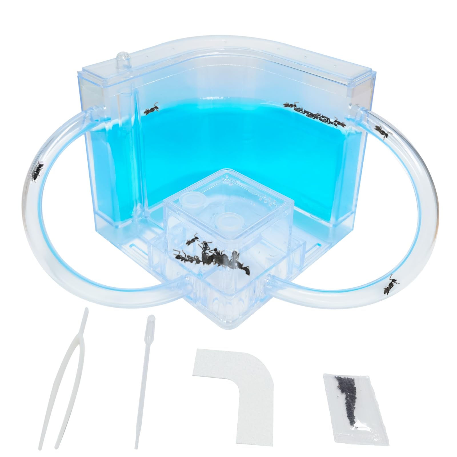 Amazon.com: EXBEPE Ant Farm for Kids Gel Ant Castle Colony Ecosystem ...