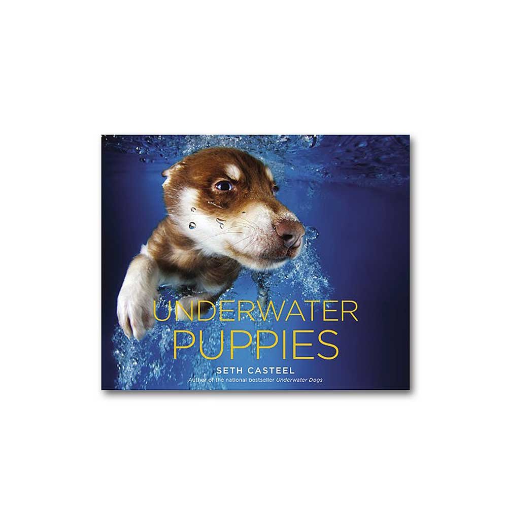 Amazon.com: Underwater Puppies: 9780316254892: Casteel, Seth: Books