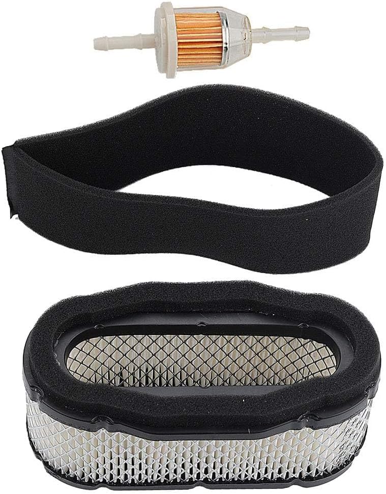 Amazon.com: Firmusparts 2 PCS 793685 793569 Air Filter GY2155 MIU11511 ...