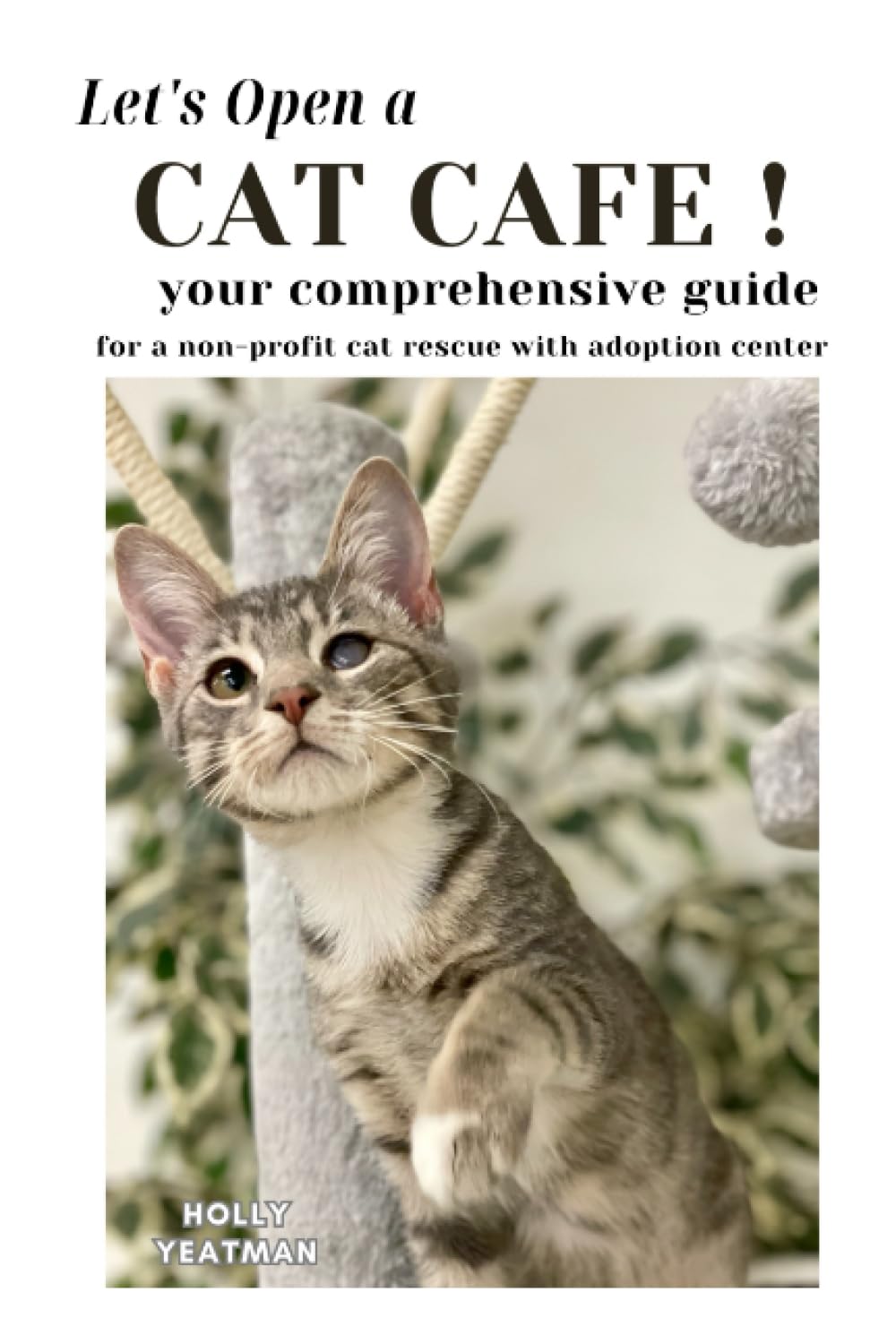 Let's Open a Cat Cafe: your comprehensive guide for a non-profit cat ...