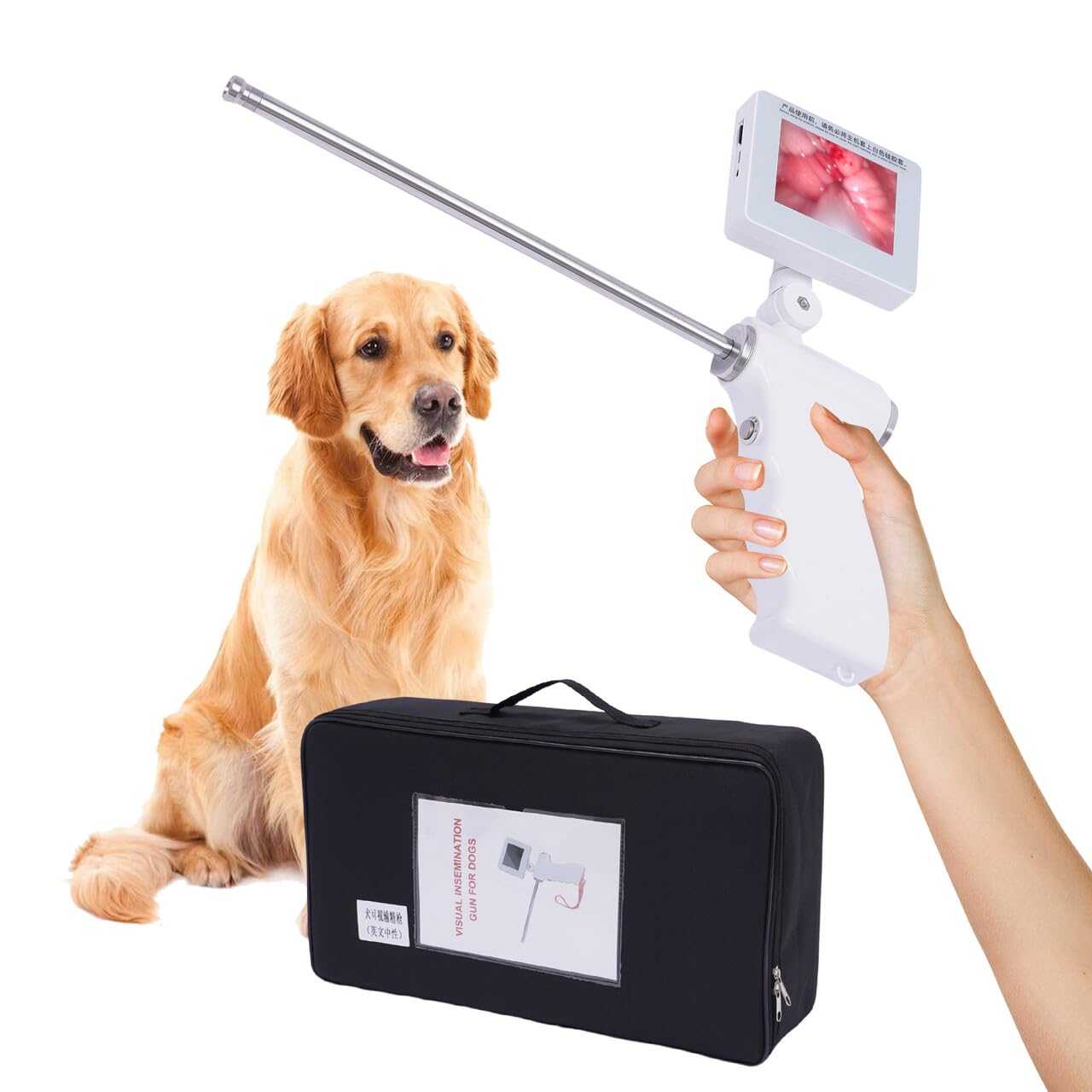 Amazon.com: Artificial Insemination AI Gun, Dog Visual Endoscope ...
