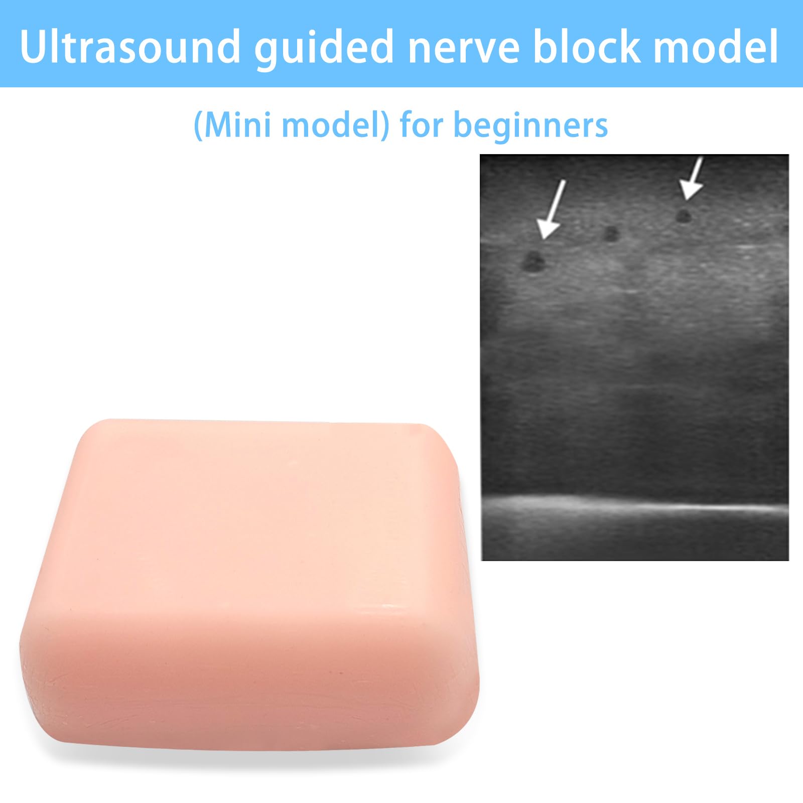 Snapklik.com : Ultrasound-Guided Nerve Block Training Model Ultrasound ...