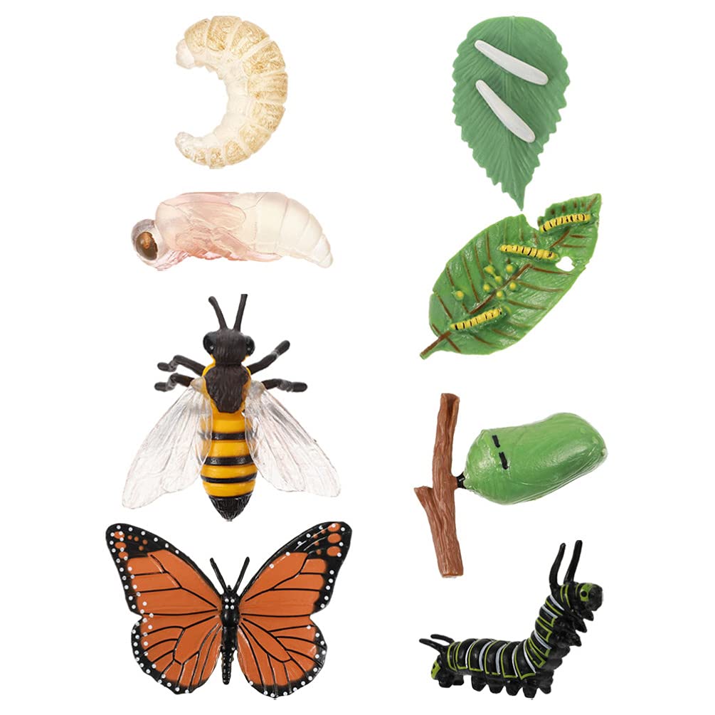 Buy TOYMYTOY 2 Sets Insect Figurines Life Cycle of Bee Butterfly ...