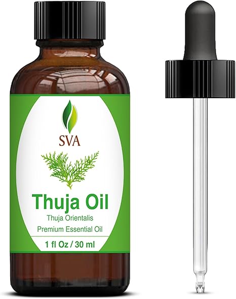 Amazon.com: SVA Thuja Essential Oil 1oz (30ml) Premium Essential Oil ...