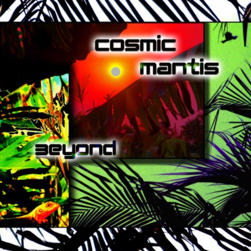 Play Beyond by Cosmic Mantis on Amazon Music