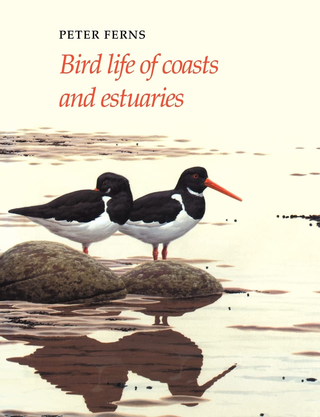 Amazon.com: Bird Life of Coasts and Estuaries (Bird Life Series ...