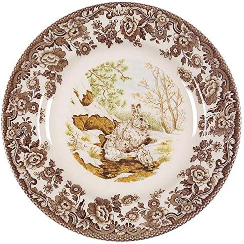 Amazon.com | Spode Woodland Salad Plate, Birds of Prey, 8” Fine ...