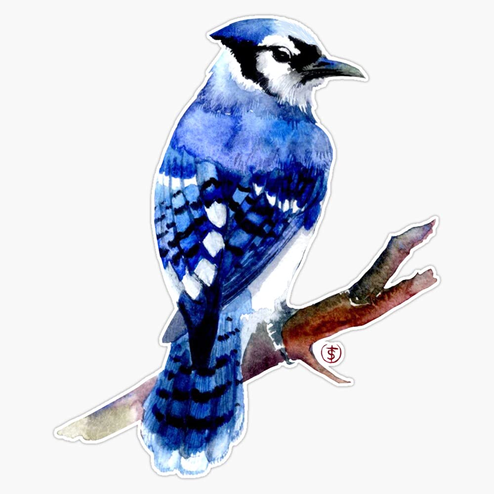 Amazon.com: BZ Trading Watercolor Blue Jay Vinyl Decal Wall Laptop ...