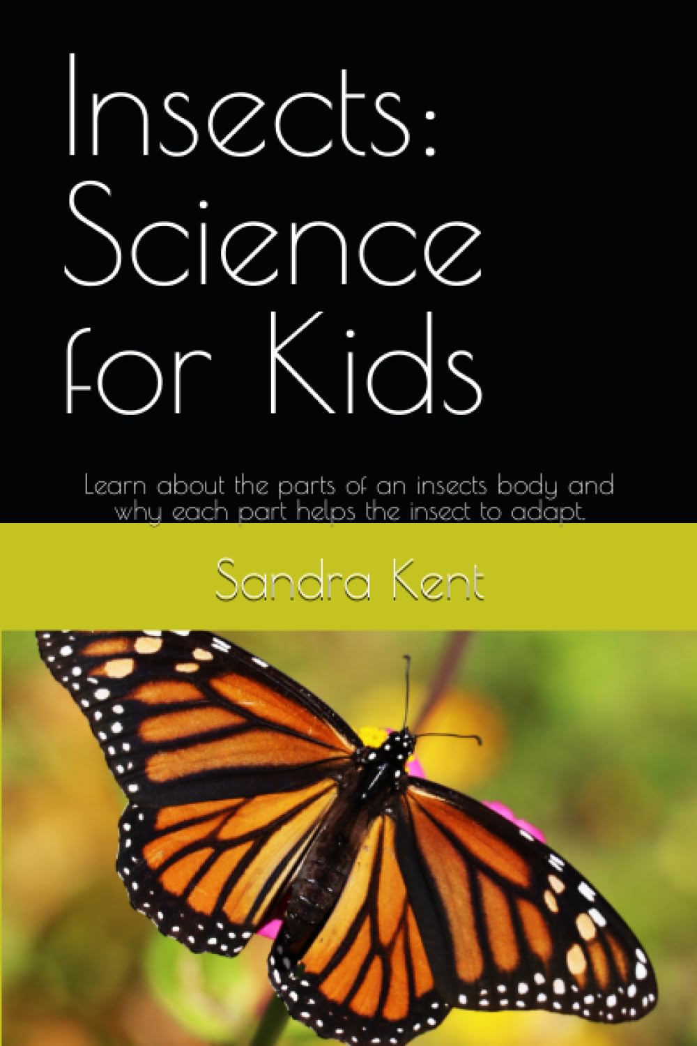 Insects: Science for Kids: Learn about the parts of an insects body and ...