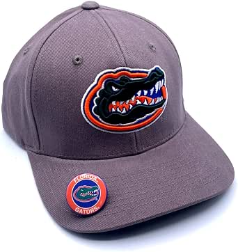 Amazon.com: University Florida Hat Classic Adjustable Gators ...