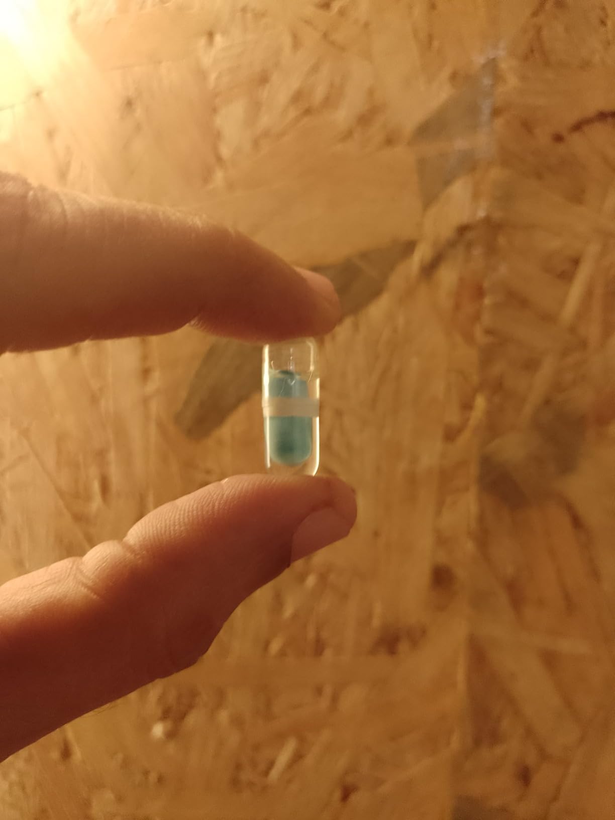 WishNew Wellness Daily Ritual Men's Multivitamin 18+ | Comprehensive 36 ...