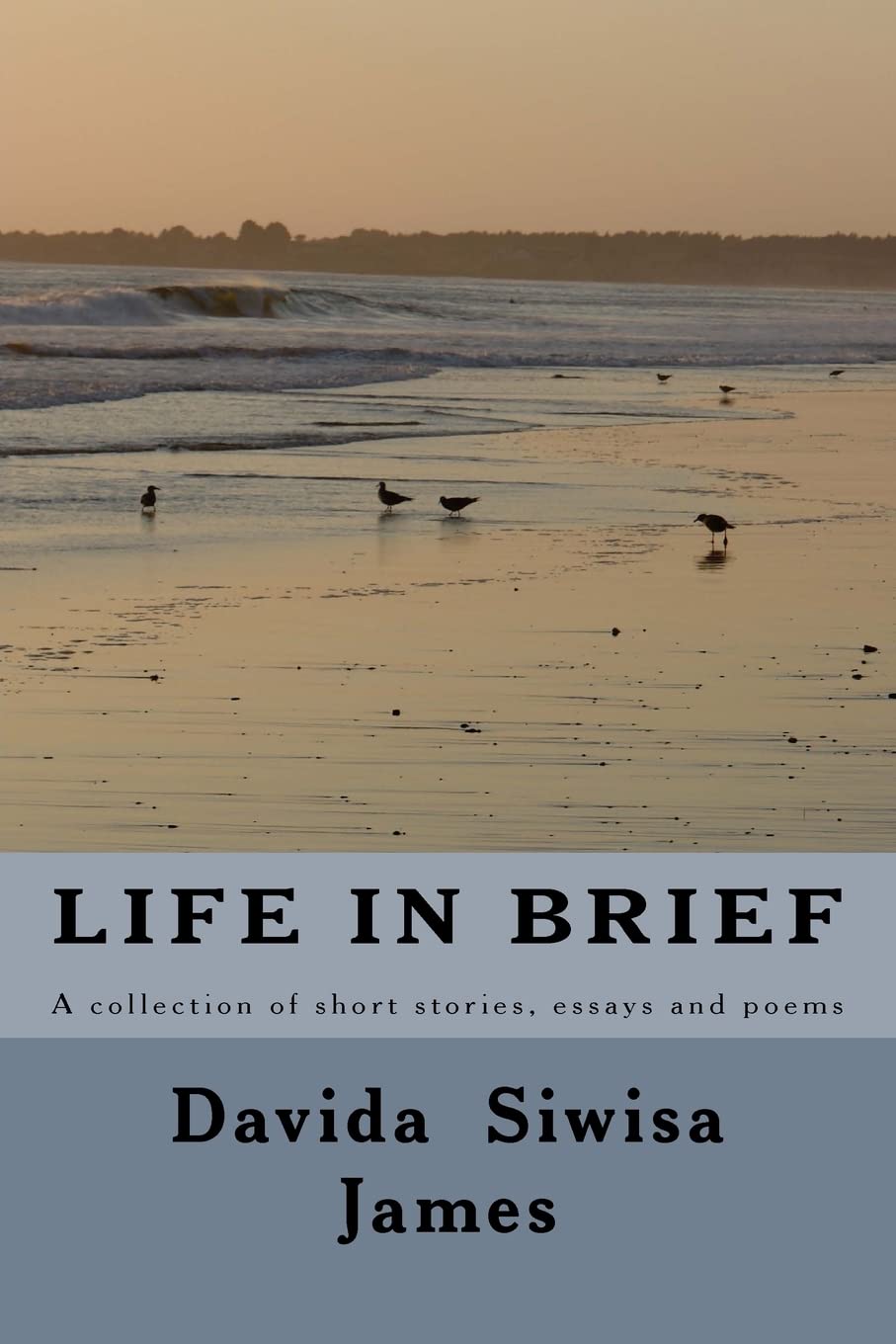 Life in Brief: James, Davida Siwisa: 9781479347162: Amazon.com: Books