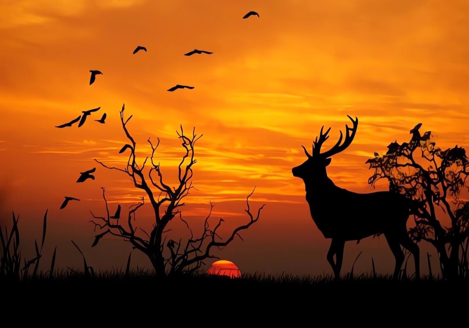 Giant Sunset Wallpaper Image Aweinspiring Red Sunset Over The Dozing