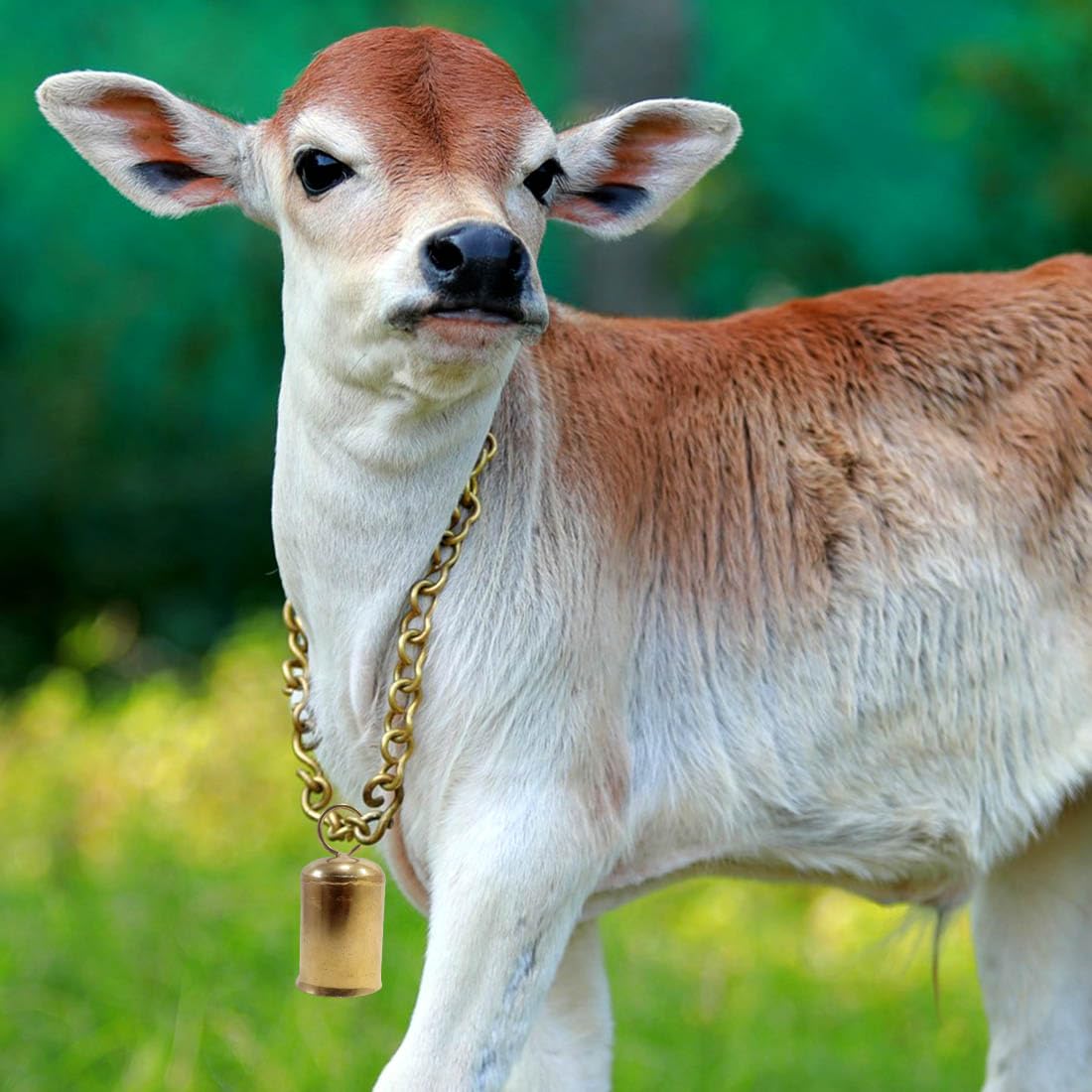 Cow/Bull/Buffalo Bell,Neck Bell,Ghanti for Cow Mountable Cowbell ...