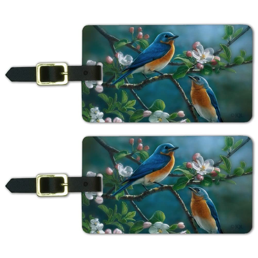 Amazon.com: Eastern Bluebirds Blue Birds Thrush Luggage ID Tags Carry ...