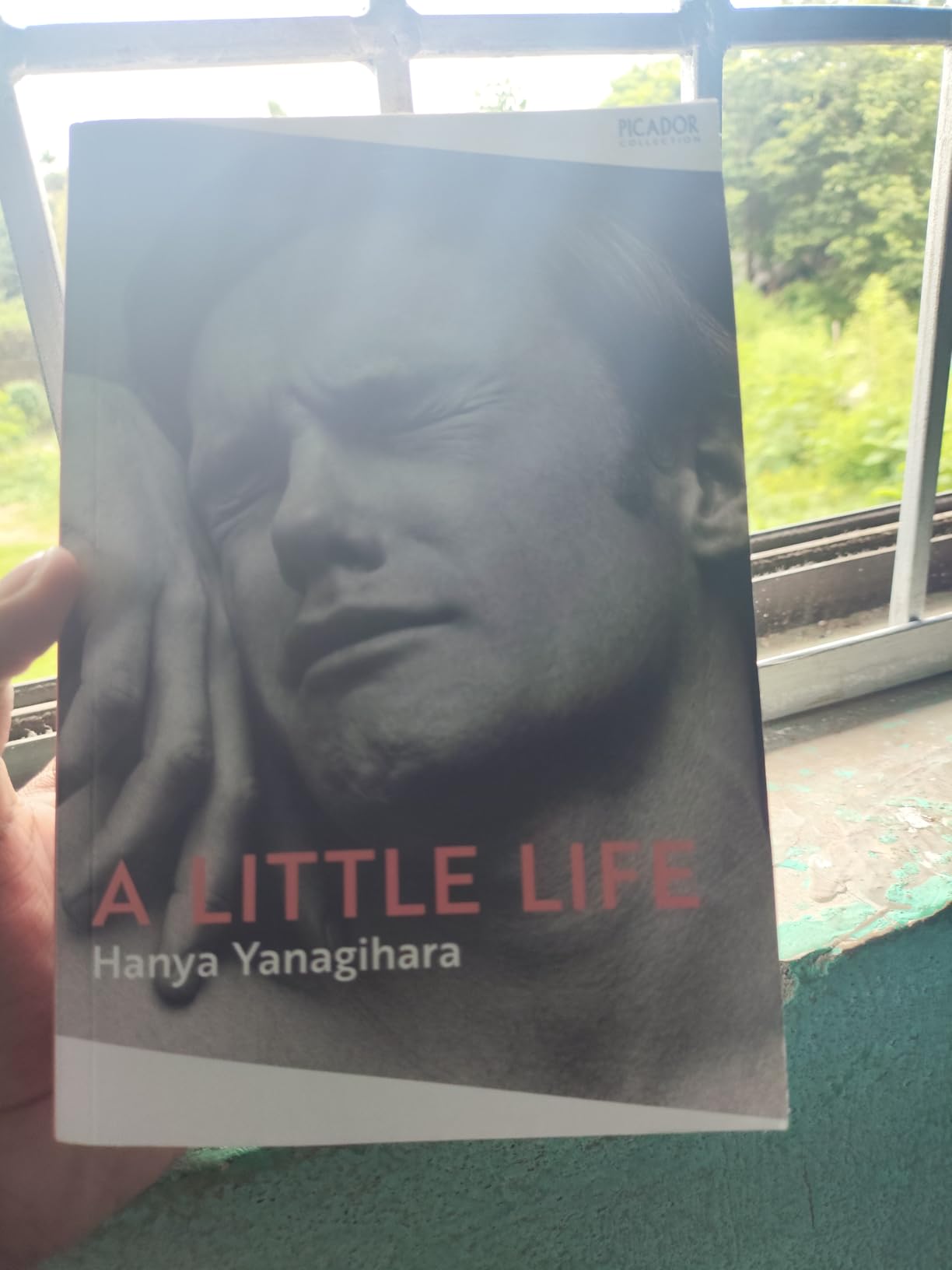 Buy A Little Life Book Online at Low Prices in India | A Little Life ...