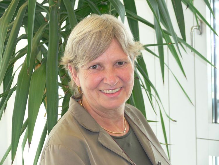 Internationale Adoption (Schriftenreihe zum Familienrecht) : Schwenzer ...