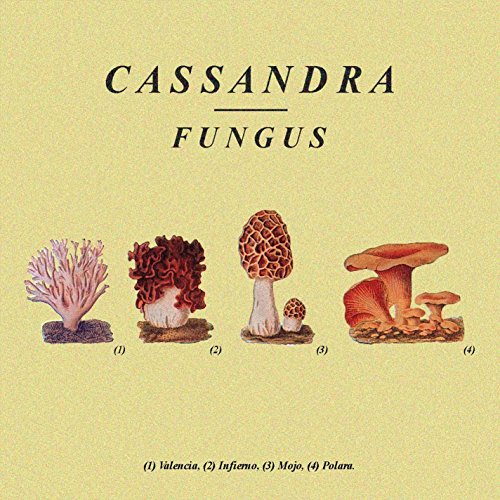 Amazon.com: Fungus (Fungus) : Cassandra Music: Digital Music