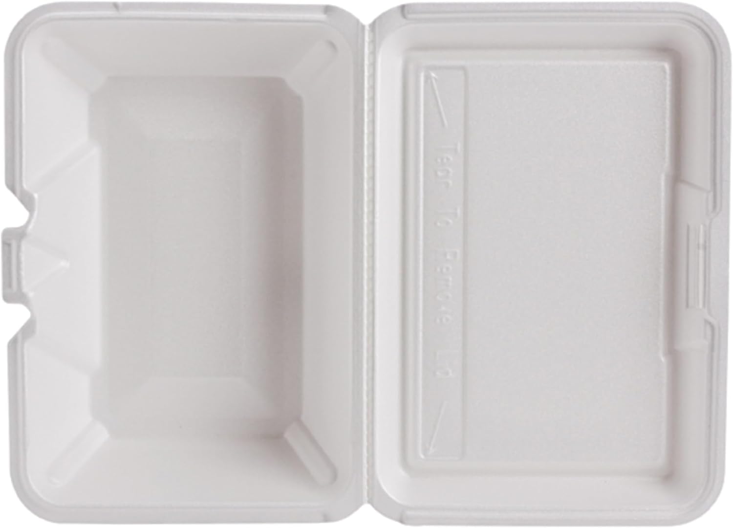 Amazon.com: 1-Compartment Foam Container 100 / Bag with Removable ...