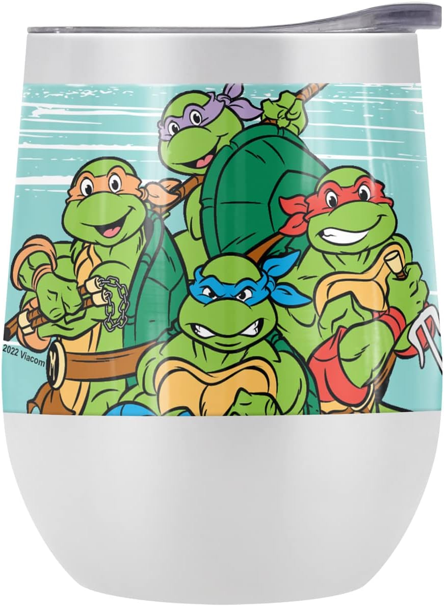 Amazon.com | Teenage Mutant Ninja Turtles TMNT OFFICIAL Turtle Group 12 ...