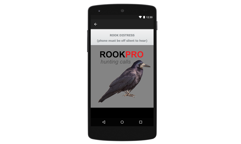 REAL Rook Hunting Calls - 10 REAL Rook CALLS & Rook Sounds! - ROOK e ...