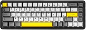 Amazon.com: RGB Wired Magnetic Axis Mechanical Keyboard RT0.01 8k 68 ...