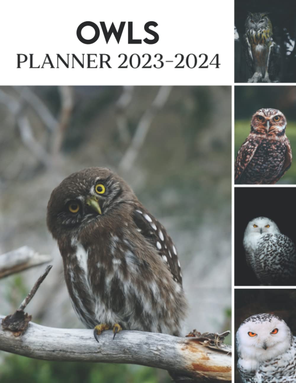 Owls 2023 - 2024 Monthly Planner: Owls Monthly Daily Planner 2023-2024 ...
