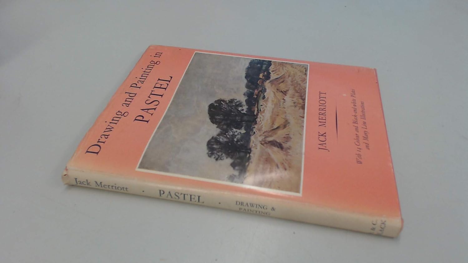 Drawing and Painting in Pastel: Merriott, Jack: 9780713605662: Amazon ...