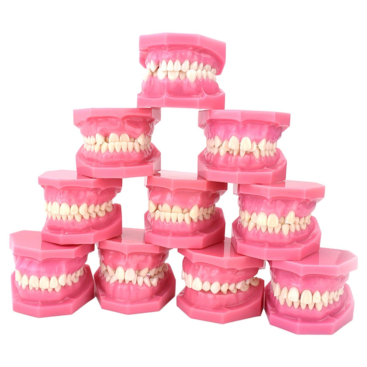 Luckfy Teeth Model Malocclusion Classification Demonstration Model ...