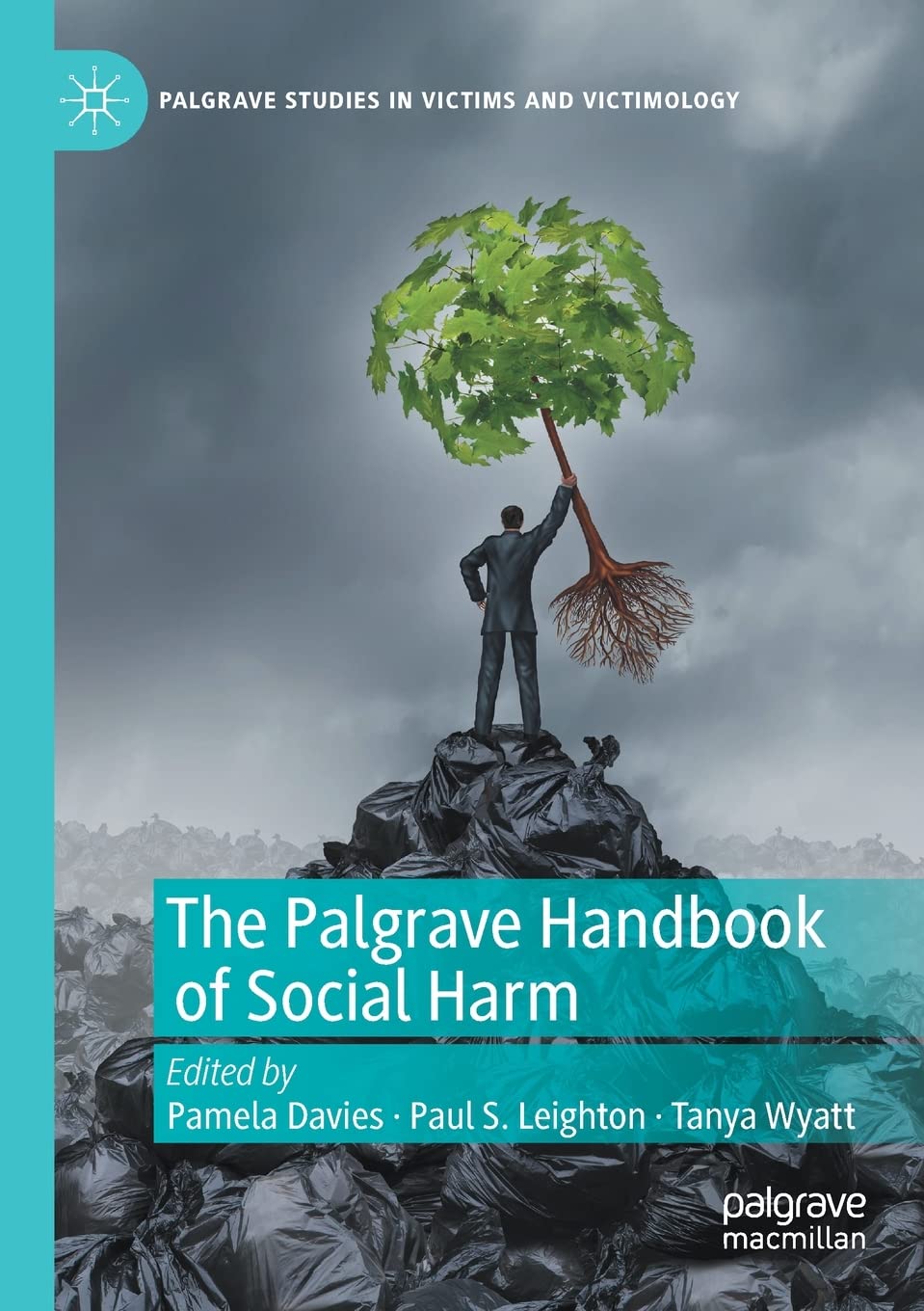 Buy The Palgrave Handbook of Social Harm (Palgrave Studies in Victims ...