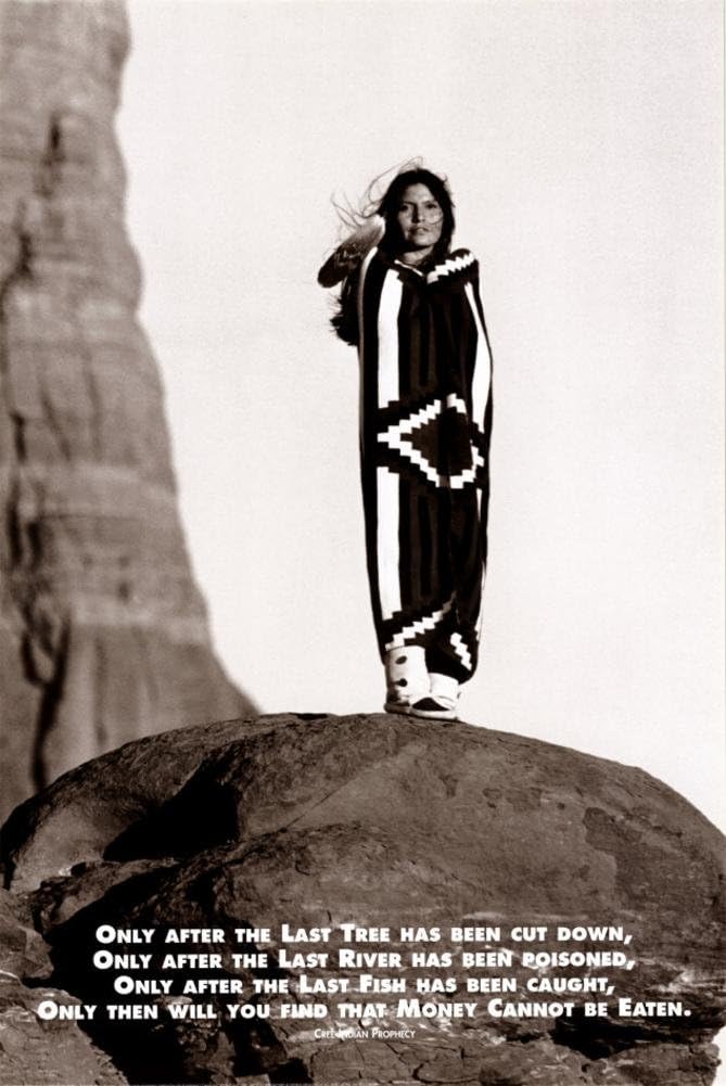 Amazon.com: (24x36) Native American (Indian Saying, Money Cannot Be ...