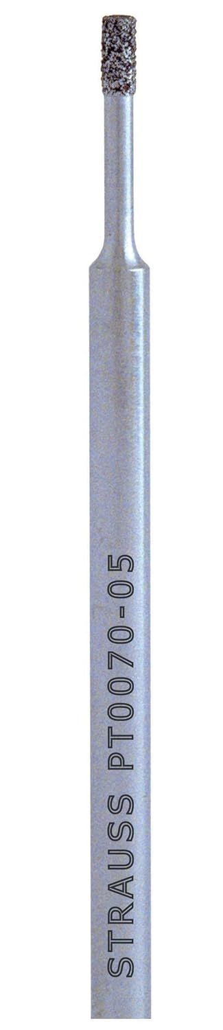 Strauss Diamond PT0098-05D170 2.165" Cylindrical Fine Diamond Grinding ...