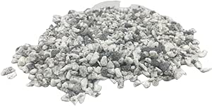 Amazon.com: Dechant's Railroad Express Model Train O Scale Track ...