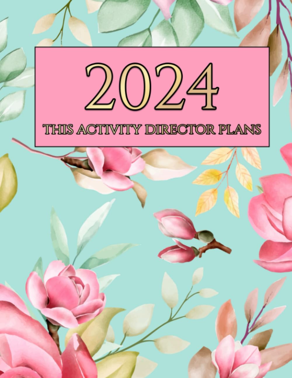 Activity Director Planner 2024: Journals, Sys: Amazon.com: Books
