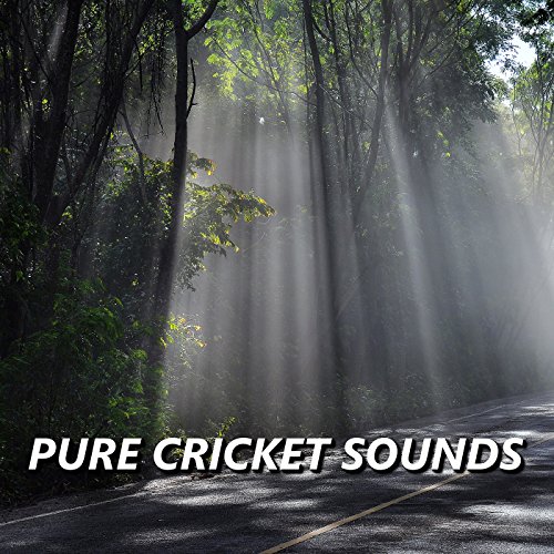 Amazon.com: Pure Cricket Sounds : Cricket Sounds: Digital Music