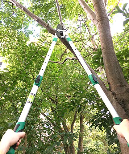 Snapklik.com : Heavy Duty Anvil Lopping Shears -2 Inch Cutting Capacity ...