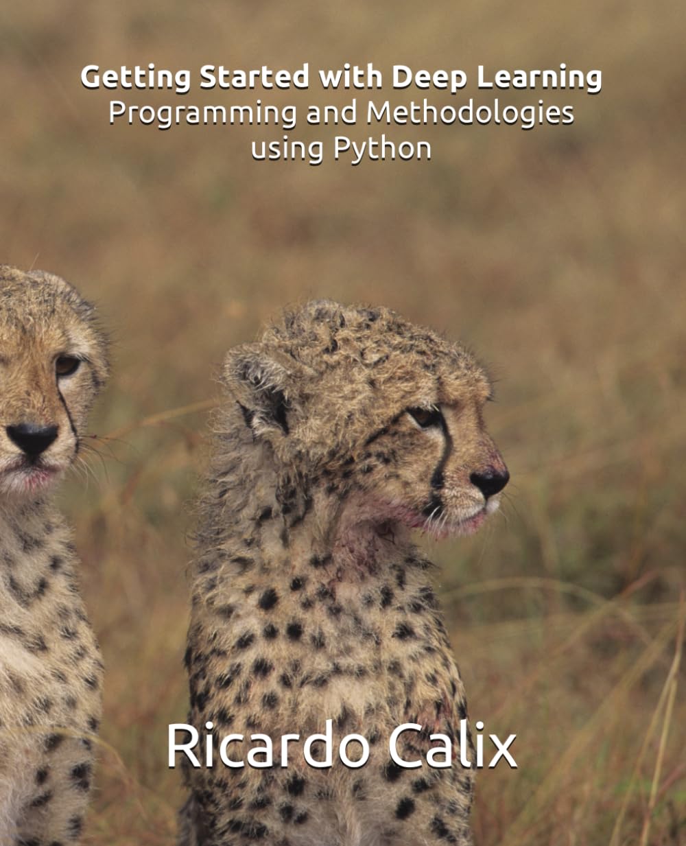 Getting Started With Deep Learning Programming And Methodologies Using Python Calix Ricardo A 5131