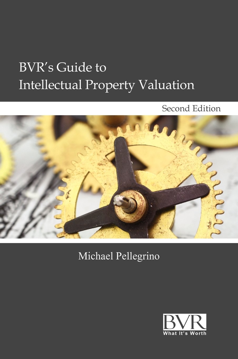 Amazon.com: BVR's Guide to Intellectual Property Valuation ...