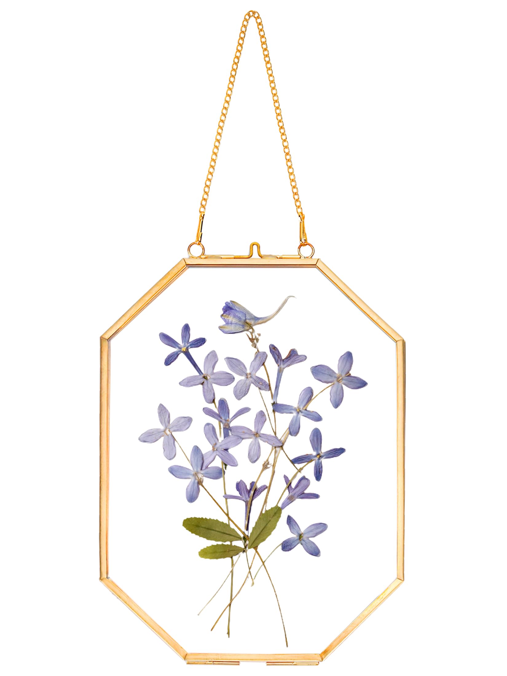 Amazon.com - REDHUGO Pressed Flower Frames, Glass Floating Frames for ...