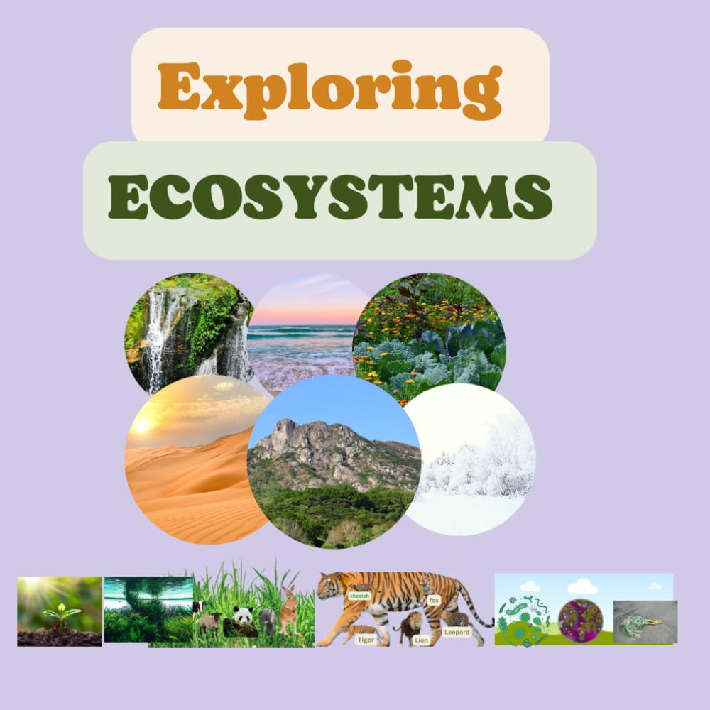 Exploring Ecosystems: for kids 8 to 12 years Producers Herbivores ...