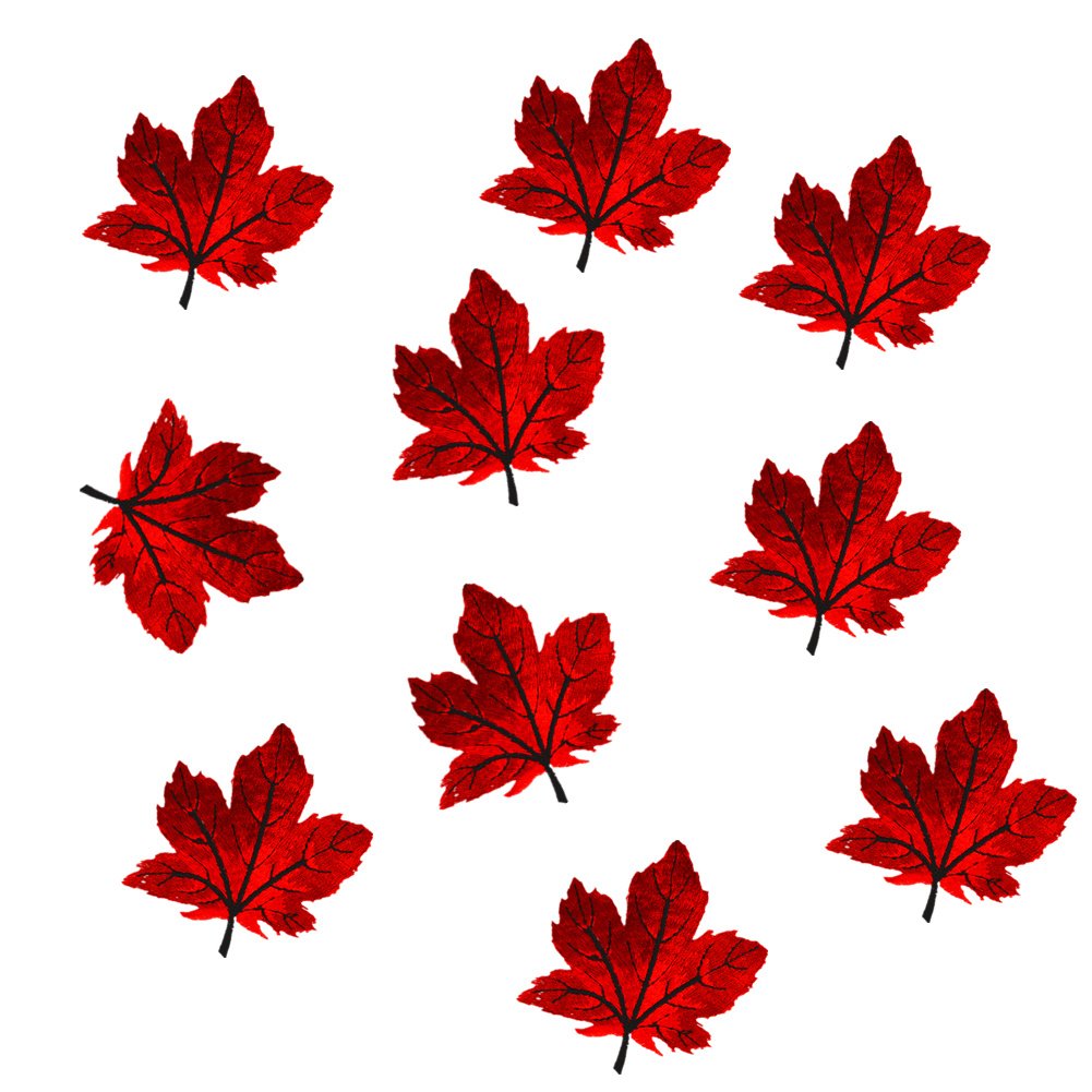Amazon.com: 12 Pack Assorted Colorful Maple Leaves Patches Iron on ...