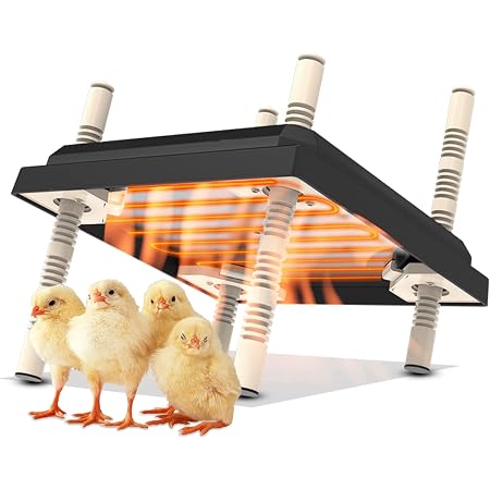 Amazon.com : pitalok Brooder Heater for Chicks: Chick Brooder Heating ...