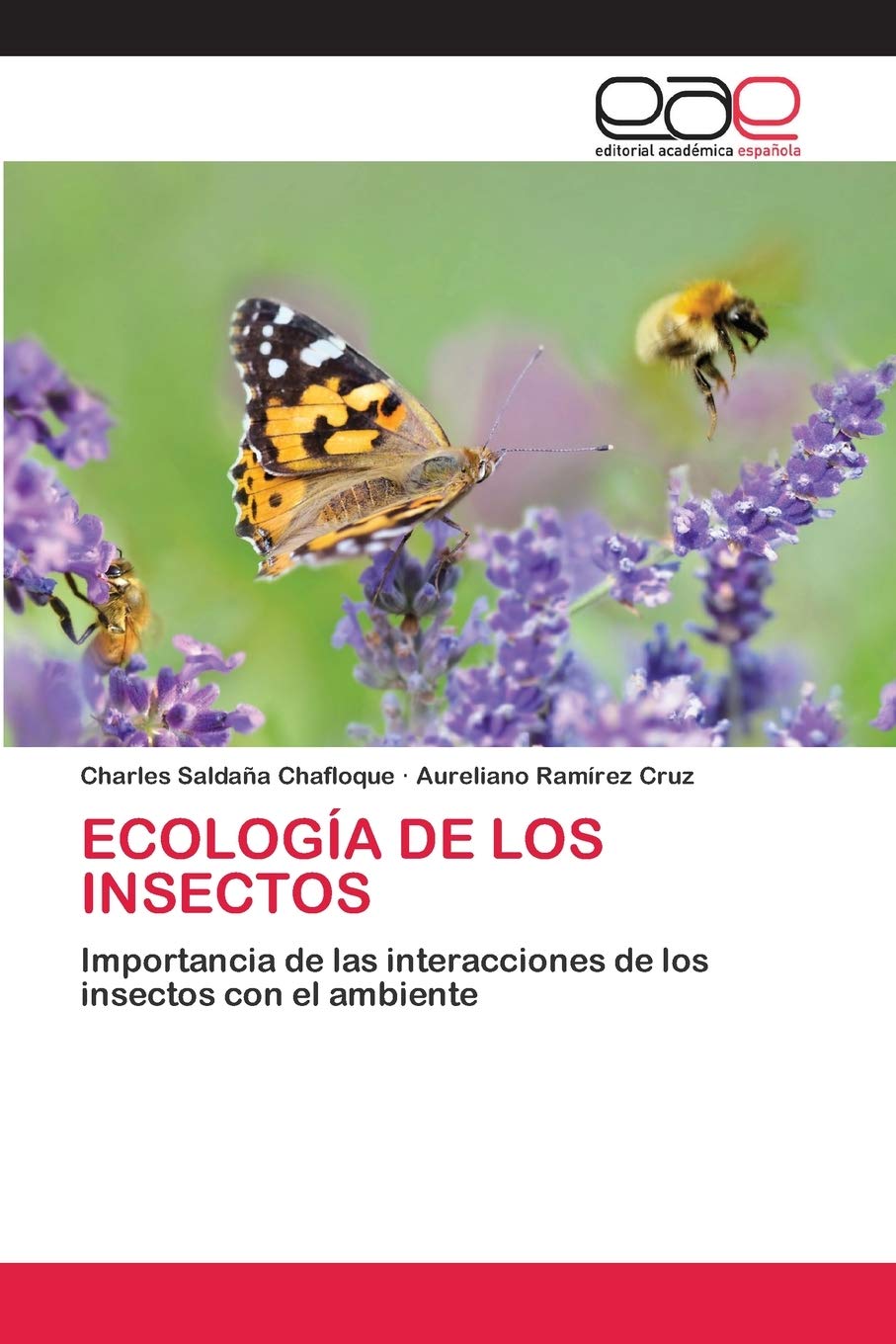 Amazon.com: ECOLOGÍA DE LOS INSECTOS: Importancia de las interacciones ...