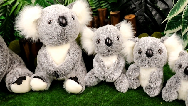 Watch Koala Bear Stuffed Plush Animal Simulation Koala plush toy on ...