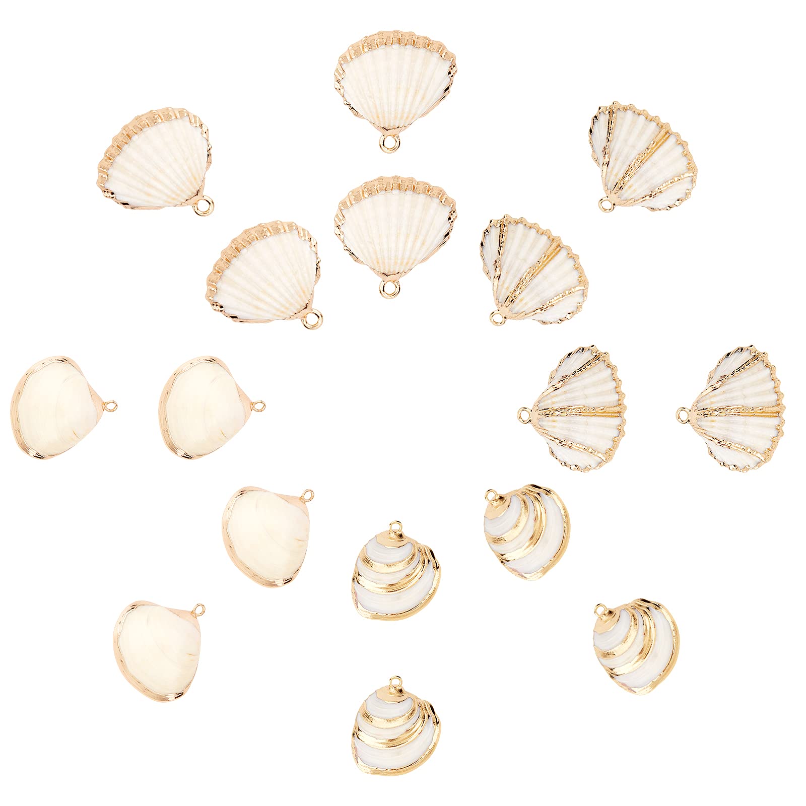 Amazon.com: SUNNYCLUE 1 Box 16Pcs Seashell Charms Oval Ocean Beach ...