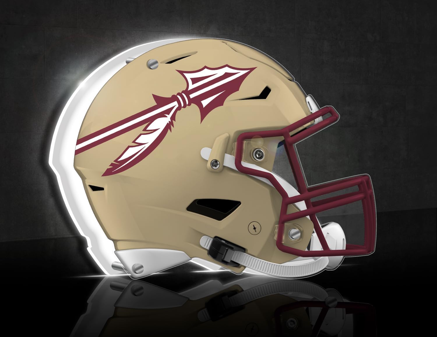 Amazon.com: Team Sports America Evergreen NCAA Florida State University ...